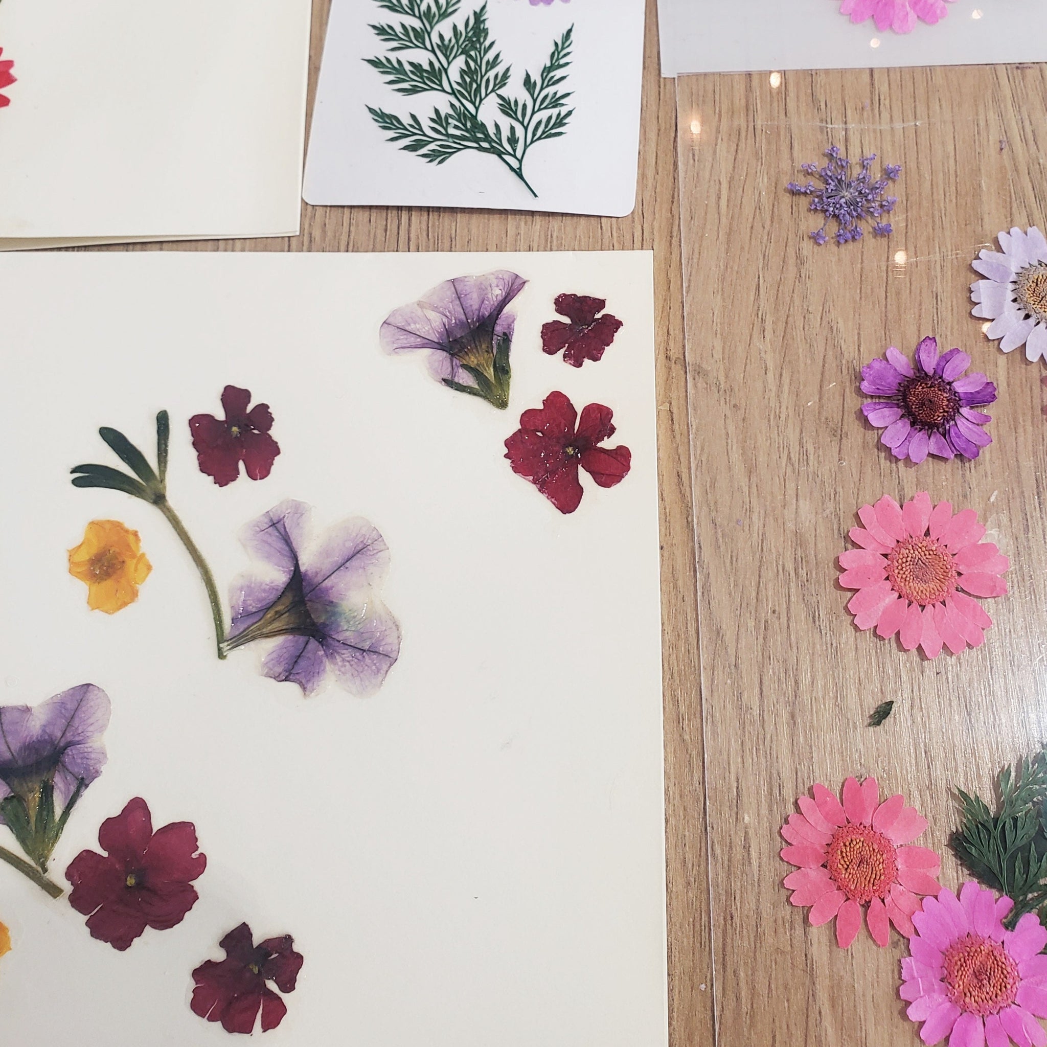 [Virtual] Pressed Flower Collage Class – Assembly Create